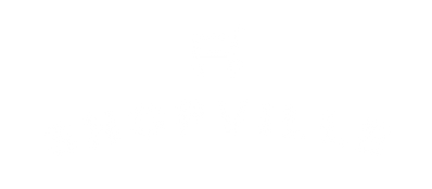 Shopville - Geeks for Geeks